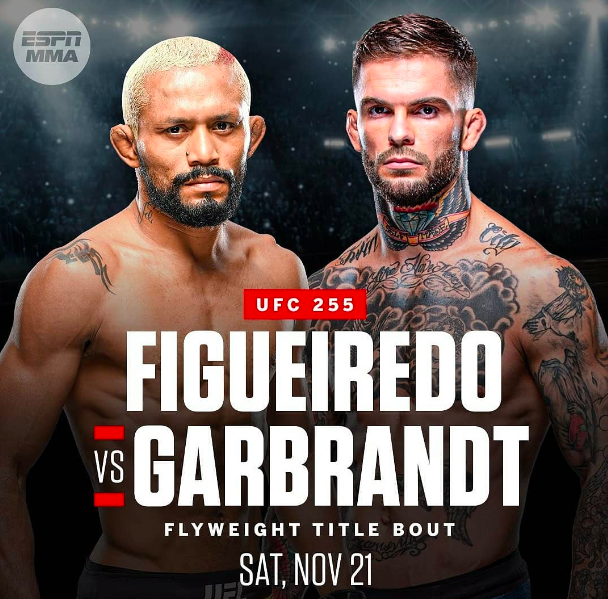 UFC 255: Dvě bitvy o titul již 21. listopadu! - SportyŽivě